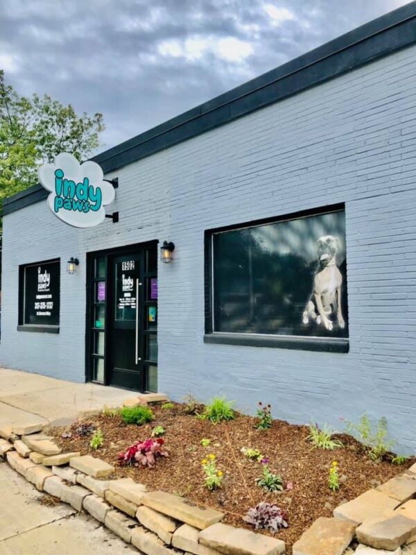Homepage - Indy Paws Veterinary Hospital